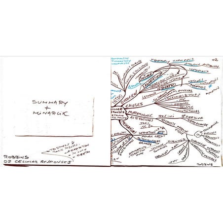 Mind Maps - Robbins Pathology - Cell Adaptation, Injury & Death ...