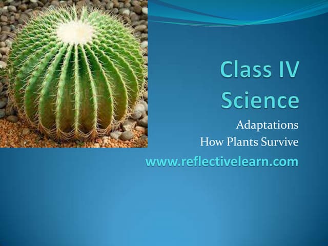 How plants survive CLASS IV | PPT