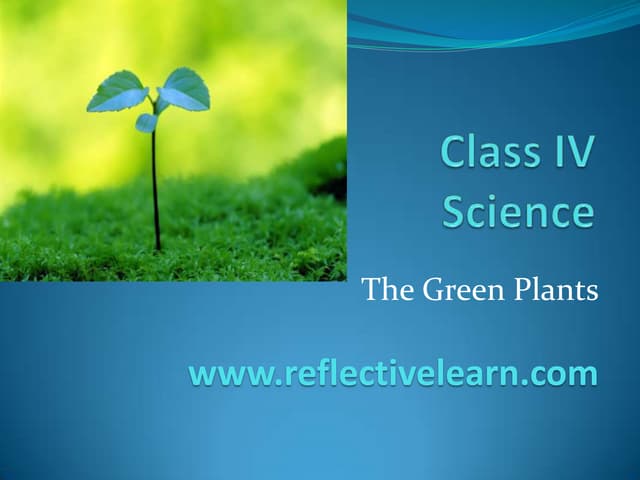 How plants survive CLASS IV | PPT