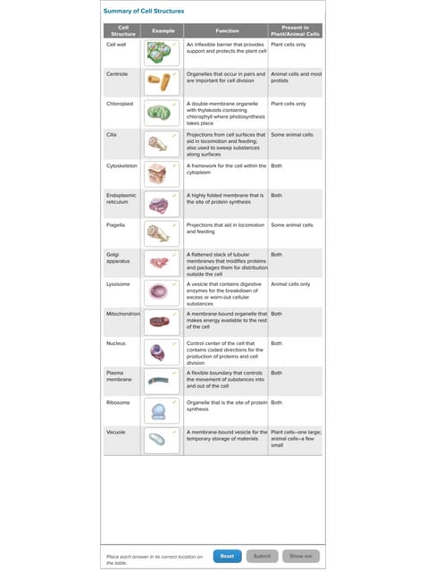 Cell structures lesson2 | PPT | Biological Sciences | Science