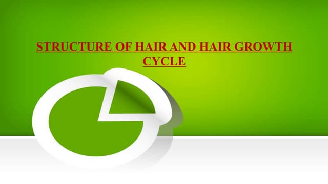 Physical changes that take place within hair structure when styling ...