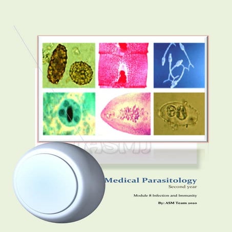 Summary of medical parasitology 2 | PDF