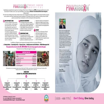 Summary of pinkribbon campaign 2017 | PPT