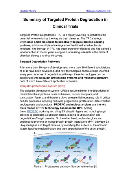 Several Types of PROTACs Based On Nucleic Acids | PDF
