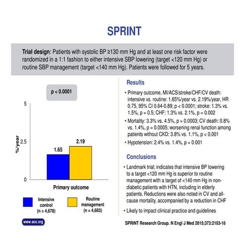 Summary Slide SPRINT.pdf
