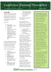 20/21 summer newletter | PDF