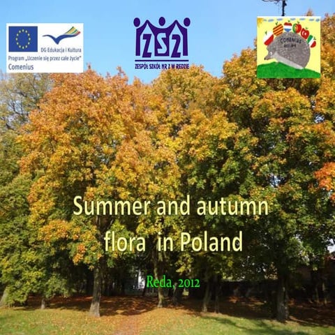 Summer and autumn flora of poland 2012 | PPTX