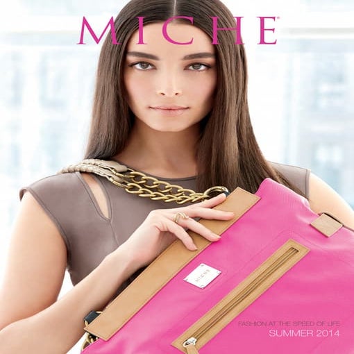 Miche history | PPTX