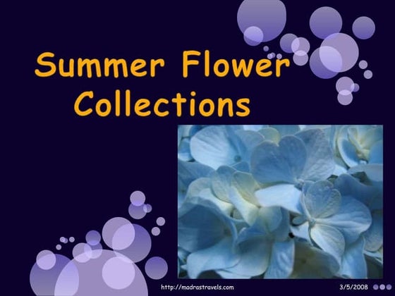 My Summer Vacation – Tl | PPT