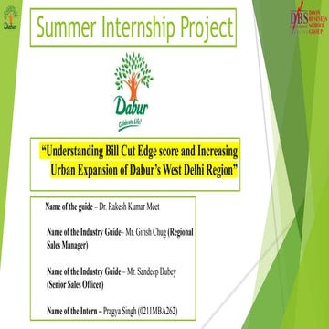 Summer Internship Project.pptx