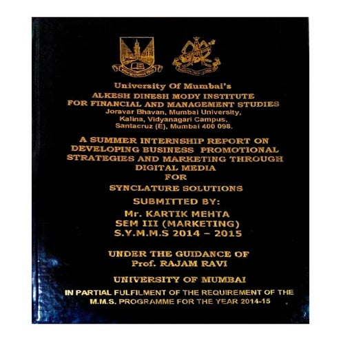 Summer Internship Report on Developing business promotional strategies ...