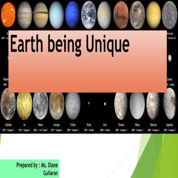 4 Conditions For Life On Earth | PPT
