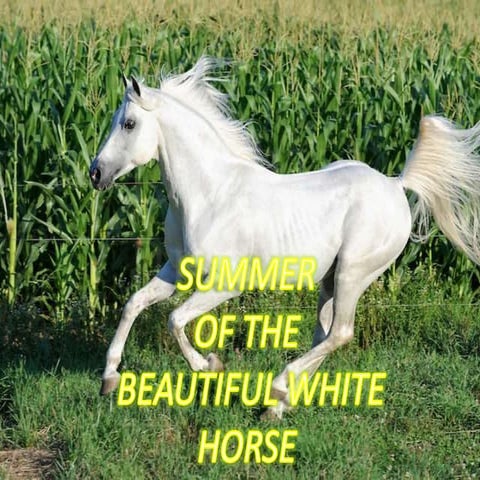 Summer of the butiful white horse classs11 | PPTX