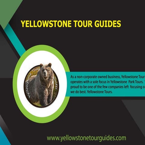 Summer tour packages in yellowstone | yellowstonetourguides.com