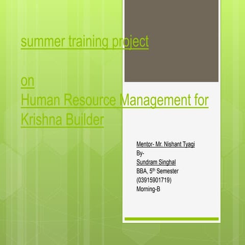 summer training project ppt(03915901719).pptx | Human Resources | Business