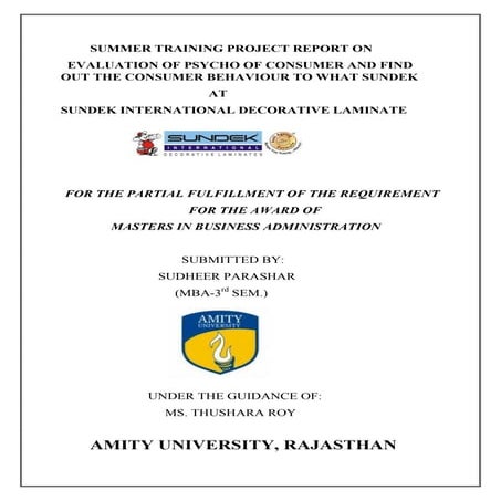 Summer training project report on sundek india | PDF