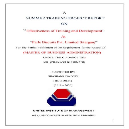 Summer training report | DOCX