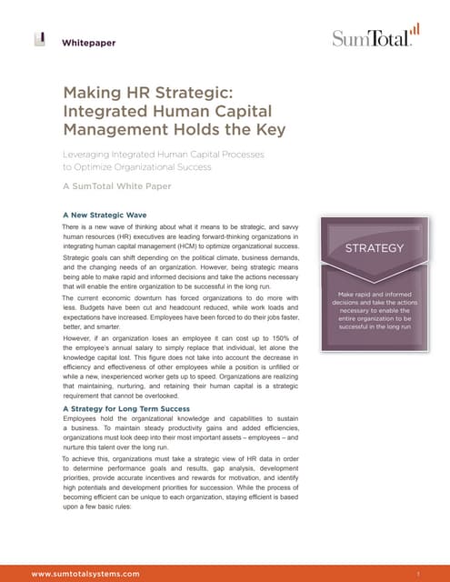 Bsci Strategic Management Maturity Model | PDF