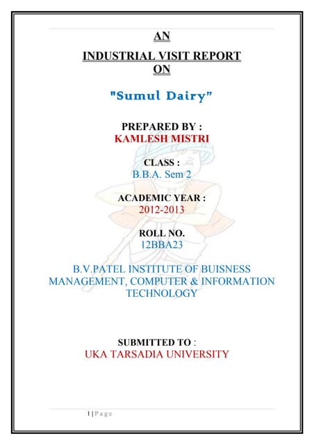 Sudha dairy report | PDF