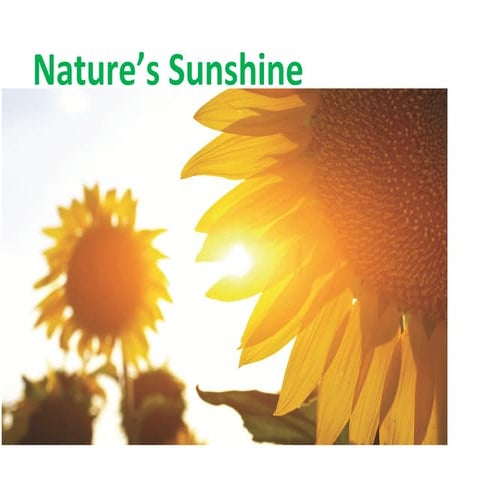 "Подсолнух" коллекция Bremani | PPT