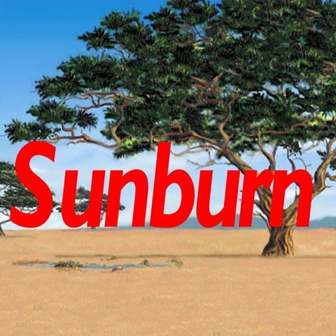 Sunburn | PPT