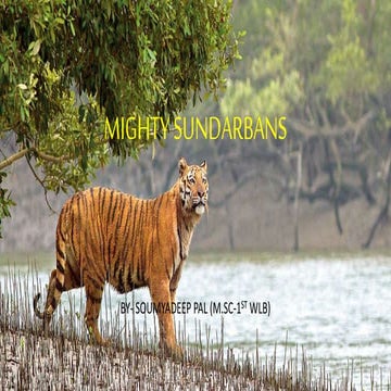 SUNDARBAN.pptx