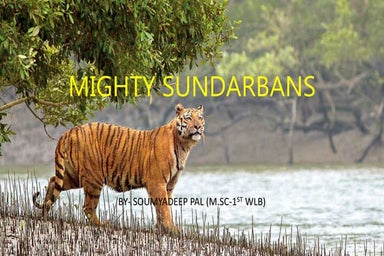 Sundarbans Biosphere Reserve