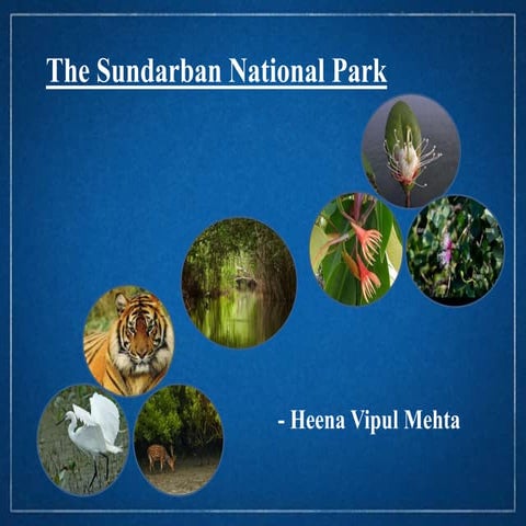 Cobras Sundarbans National Park List Of National Parks And Sanctuaries
