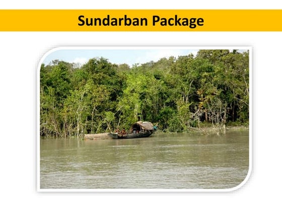 Sundarban launch tour | PPT