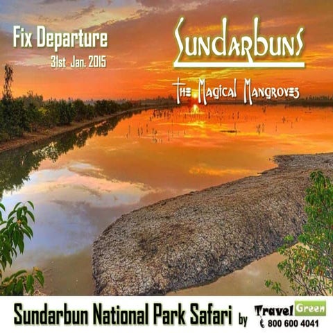 Sundarbuns (West Bengal ) | PDF | Day Trips | Travel Type