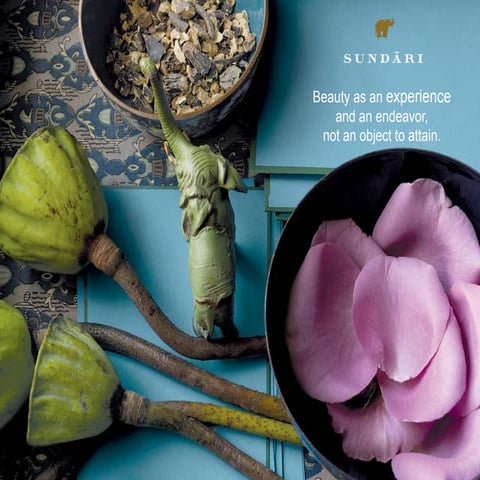 Sundari An Introduction | PDF