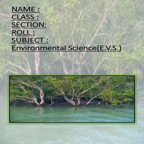 SUNDERBANS-a case study(E.V.S. PROJECT).pptx