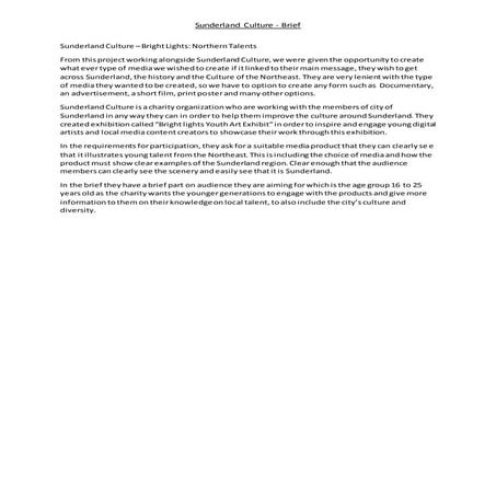 Sunderland Culture - Brief interput.docx