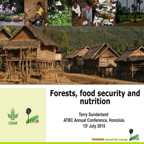 Forests, food security and nutrition | PPT | Environment | Science