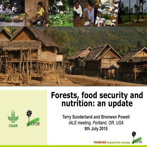 Forests, food security and nutrition: an update | PPT