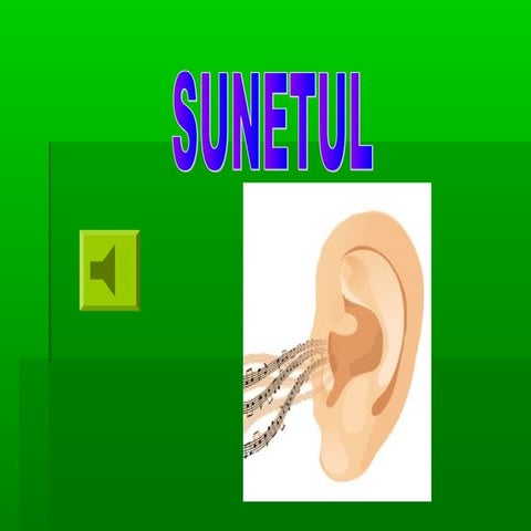 Sunetul | PPT