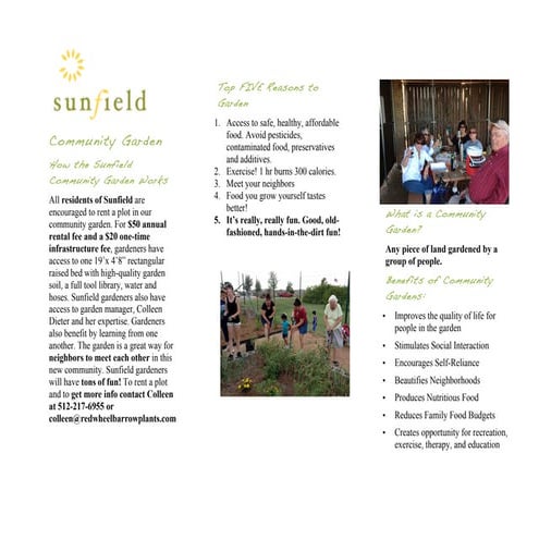 Edible Gardens in Schools: A Growing Guide for Teachers | PDF
