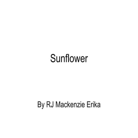 Sunflower | PPT