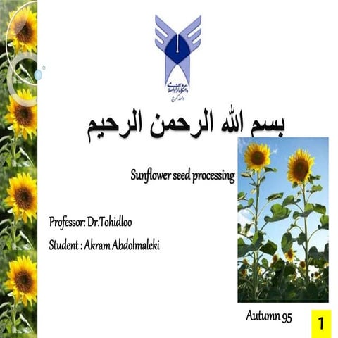 Sunflower procesing | PPTX