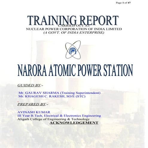 naps narora | DOC | Power and Energy Industry | Industries