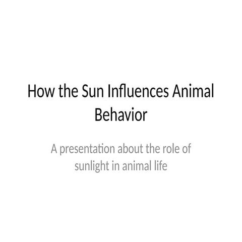 Sun_Influence_Animals_Presentation.pptx. | PPTX