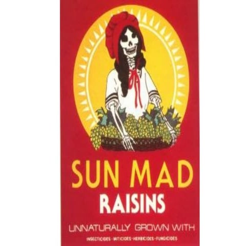Sun mad raisins MAS/BBL 2023 | PPT