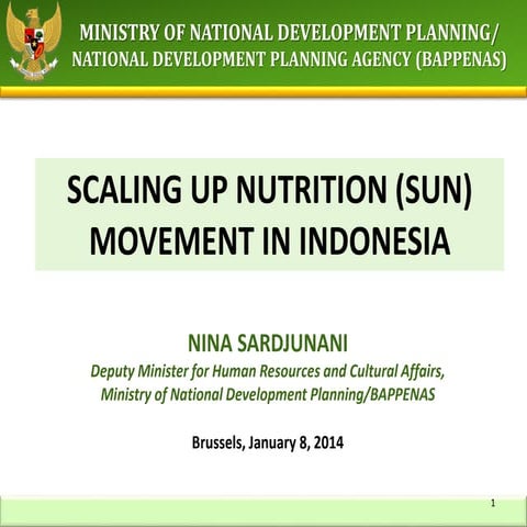 Sun movement in indonesia brussels nutrition seminar | PDF