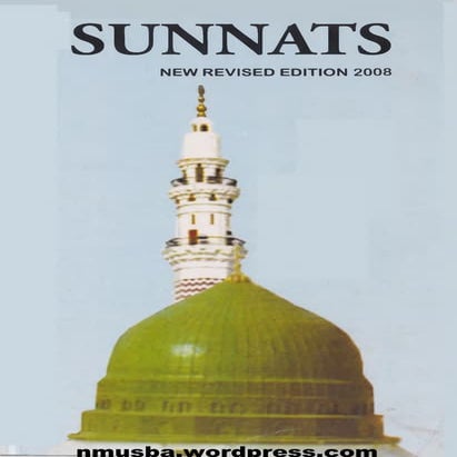 Sunnats (SUNNAT AN NABI SAV) | PDF