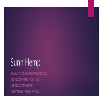 Sunn hemp | PPTX