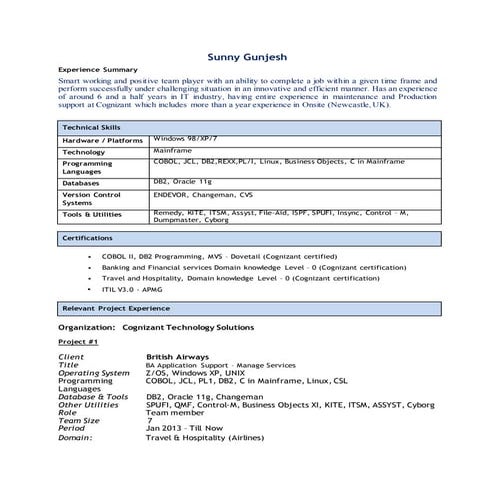 Sunny Gunjesh Resume | DOCX | IT and Internet Support | Internet
