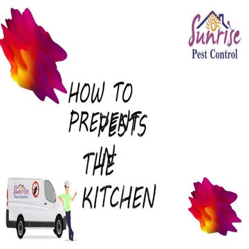 How To Prevent Pests In The Kitchen? | PPT