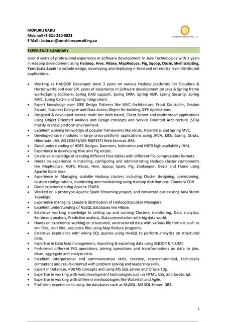 Ravikumar_Resume | DOC | Databases | Computer Software and Applications