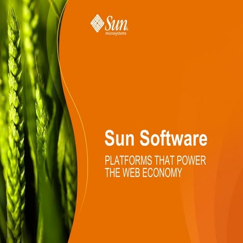 Sun Software | PDF