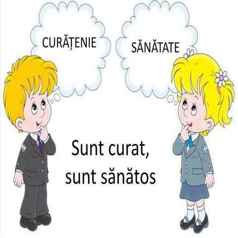 sunt_curat_sunt_sanatos.ppsx